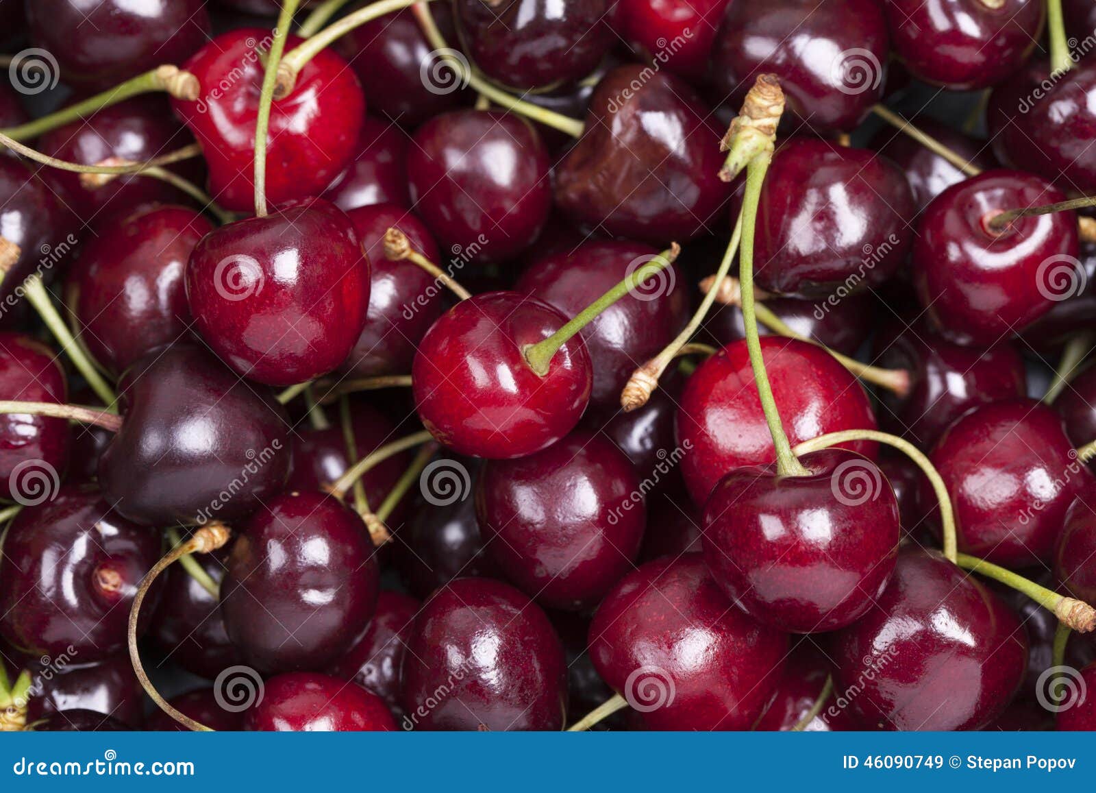 Sweet cherry stock image. Image of large, freshness, eating - 46090749