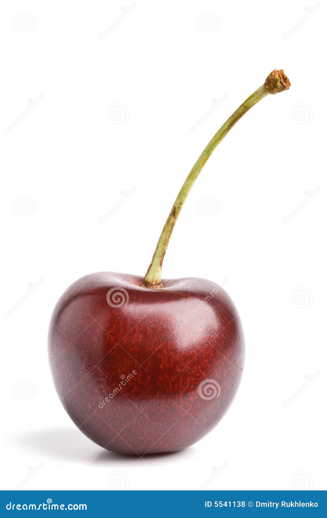 Sweet cherry isolated stock photo. Image of sweet, berry - 5541138