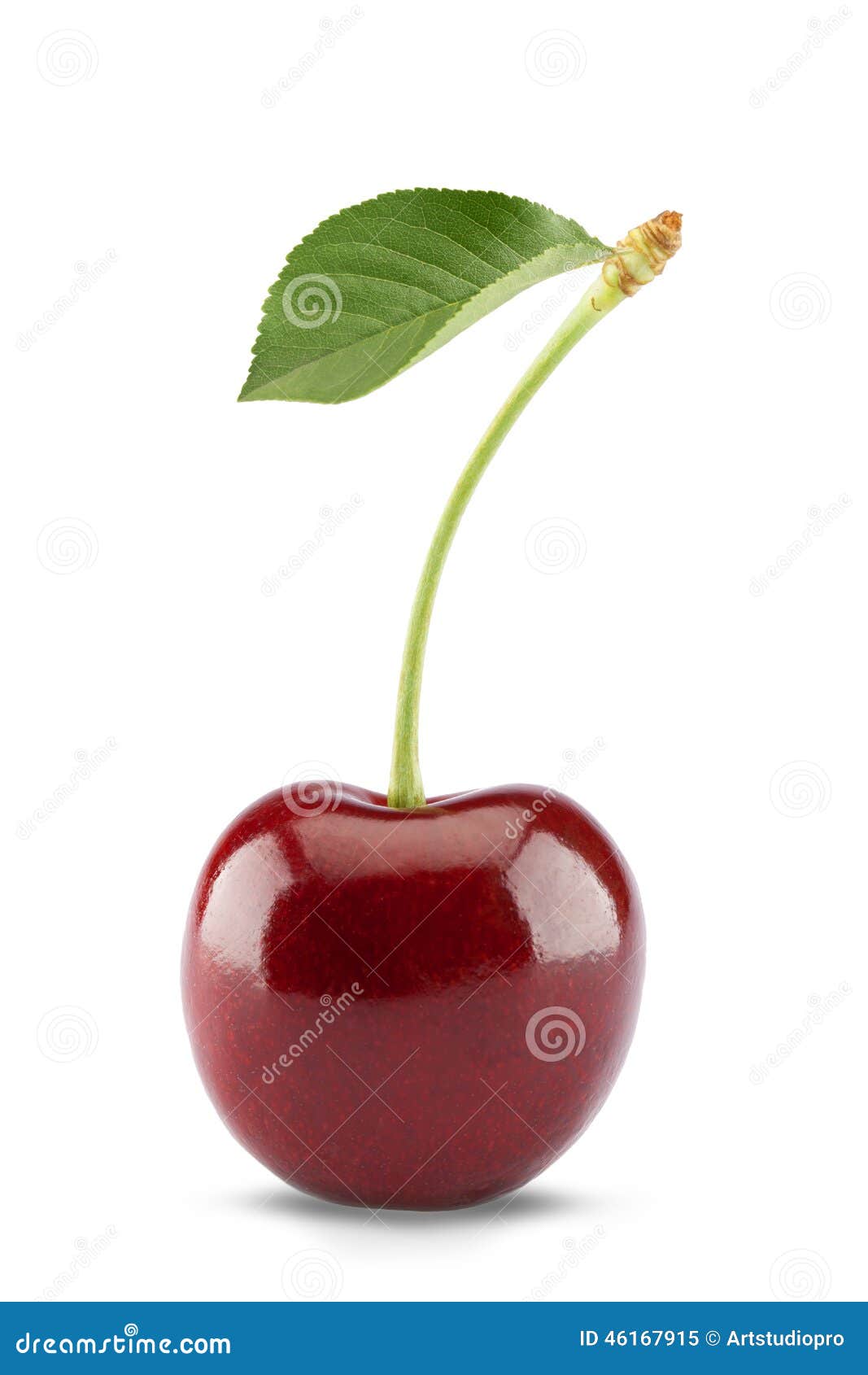 Sweet Cherry Isolated on White Stock Image - Image of cherry, pulpy ...