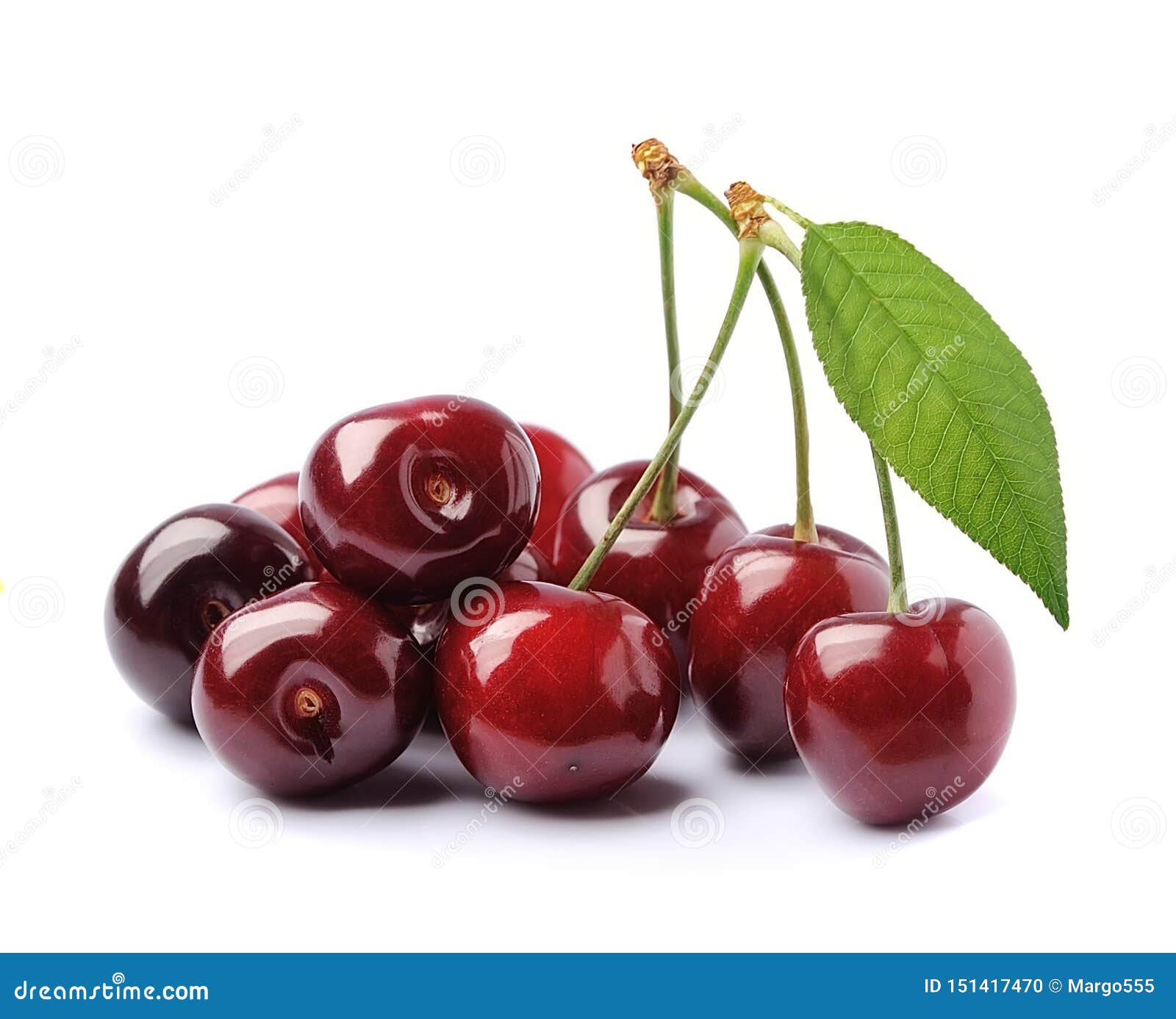 Sweet cherry stock photo. Image of object, leaves, food - 151417470