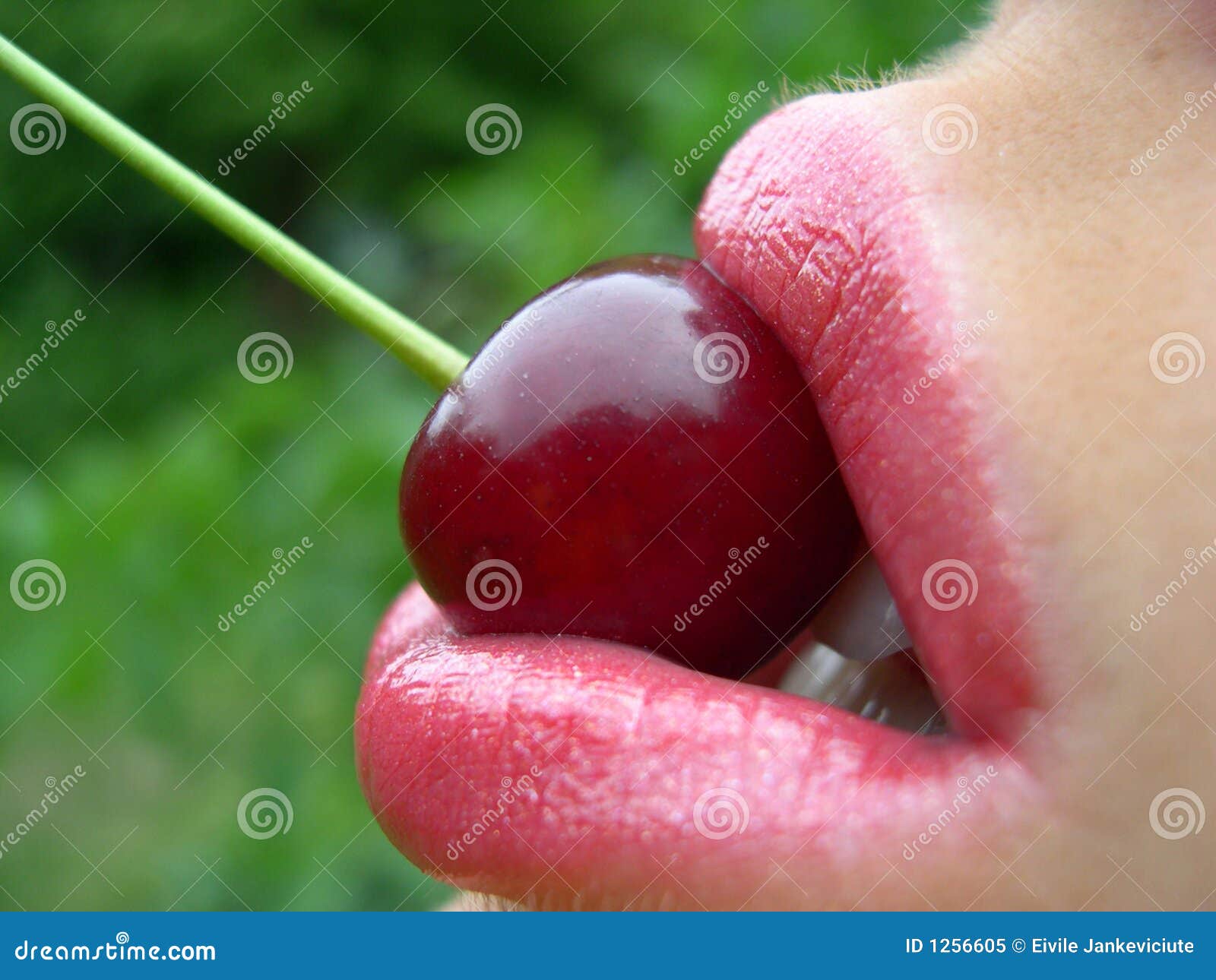 Sweet cherry in the Lips stock image. Image of claret - 1256605