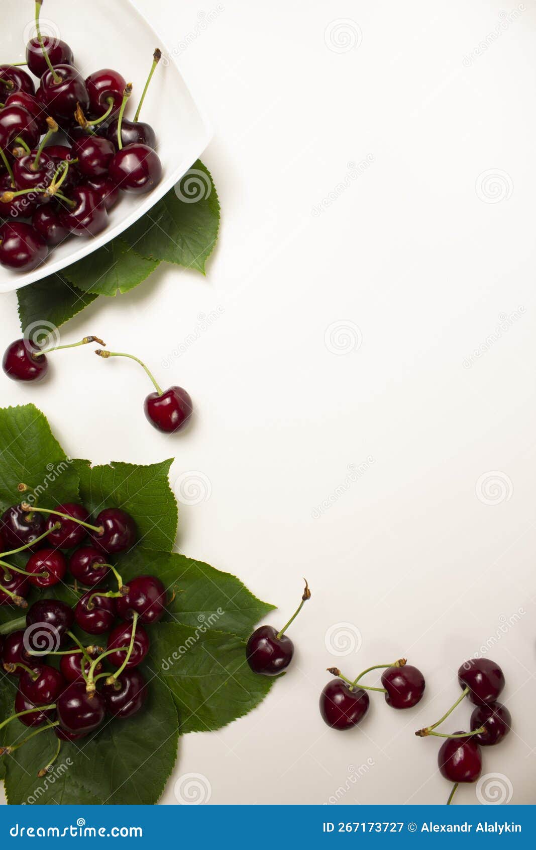 Sweet Cherry on a White Background Close-up Stock Image - Image of ...