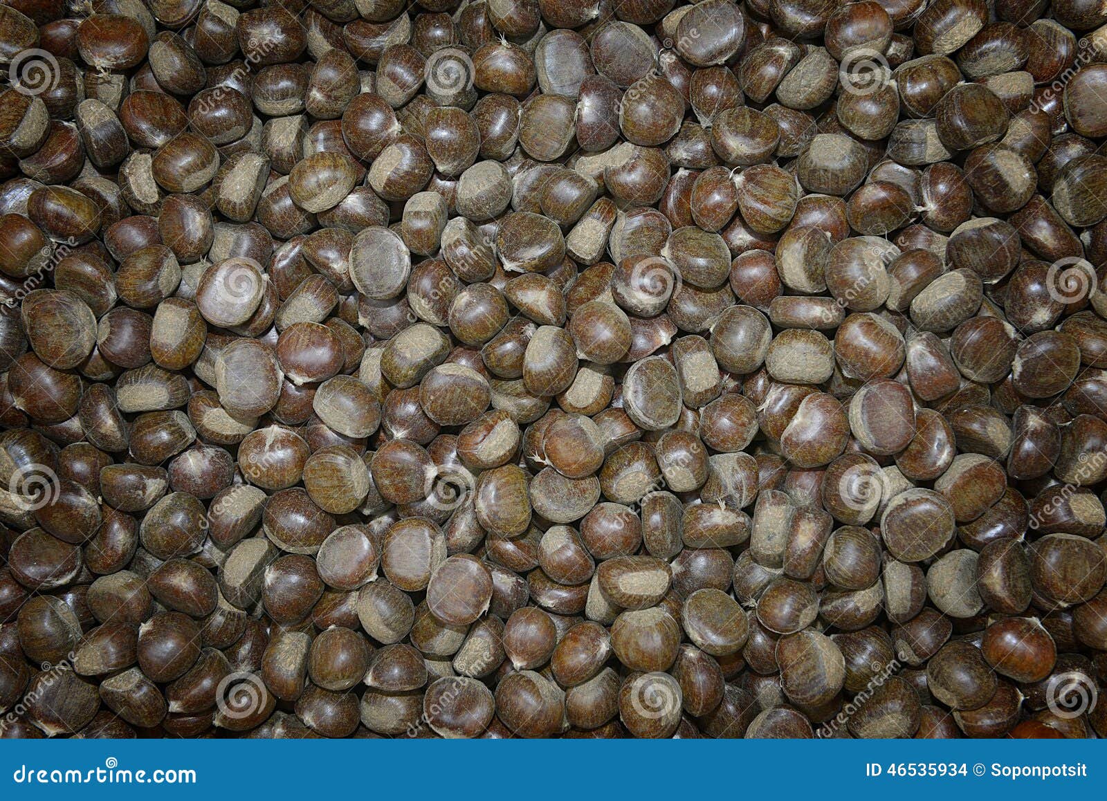 Sweet Chestnut for Background Stock Photo - Image of pattern, portugal ...