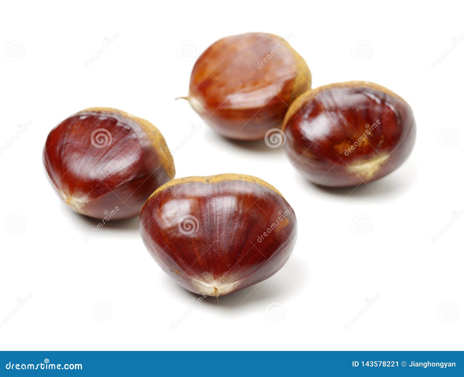 Sweet chestnut stock image. Image of foliage, fresh - 143578221