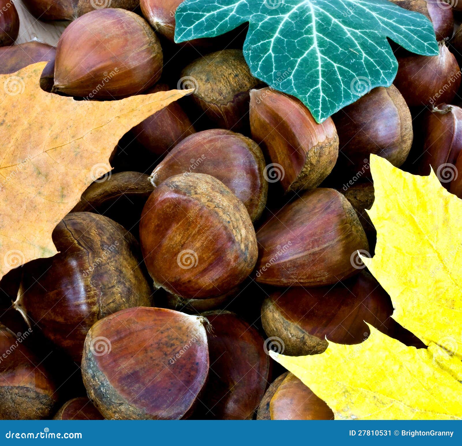 Sweet chestnut background stock image. Image of sweet - 27810531