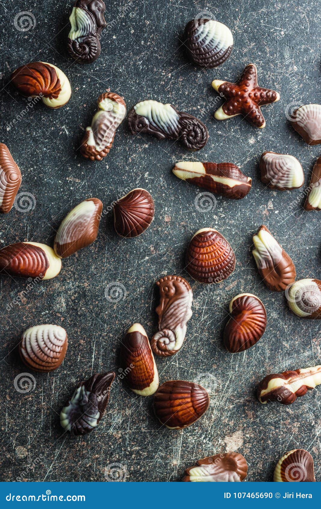 Sweet chocolate seashells. stock photo. Image of dessert - 107465690