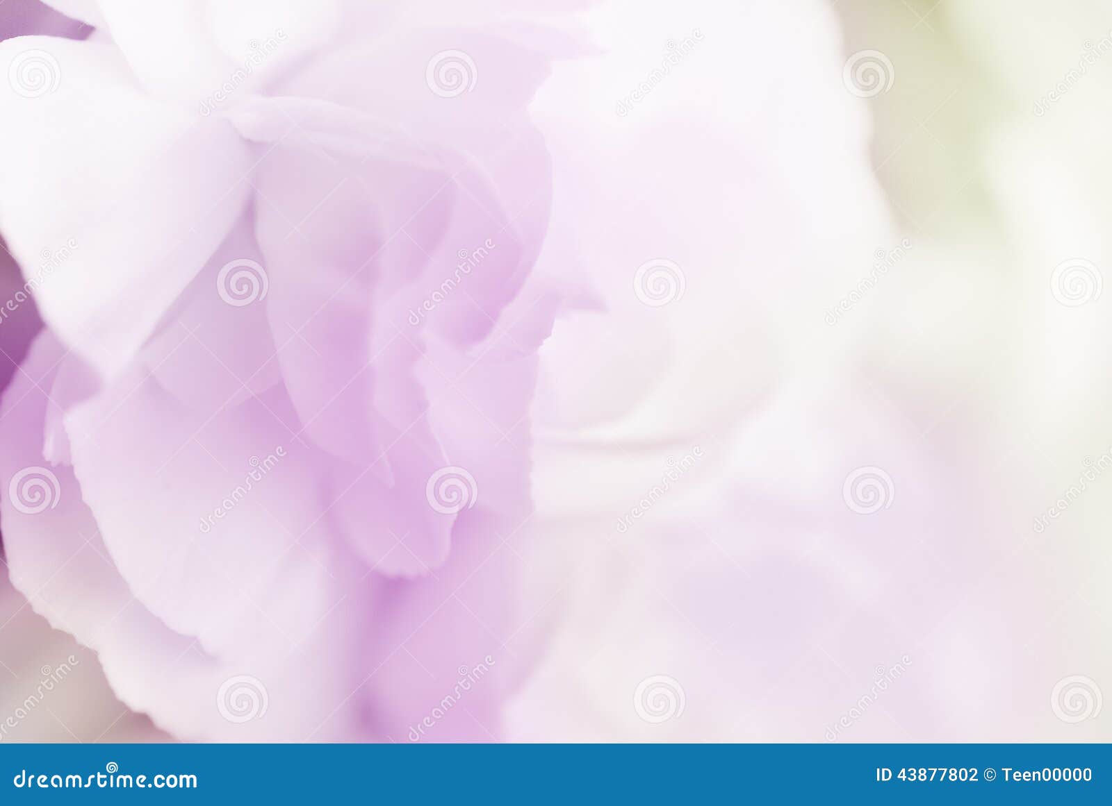 Sweet Color Flowers In Soft Style On Mulberry Paper Texture Royalty ...