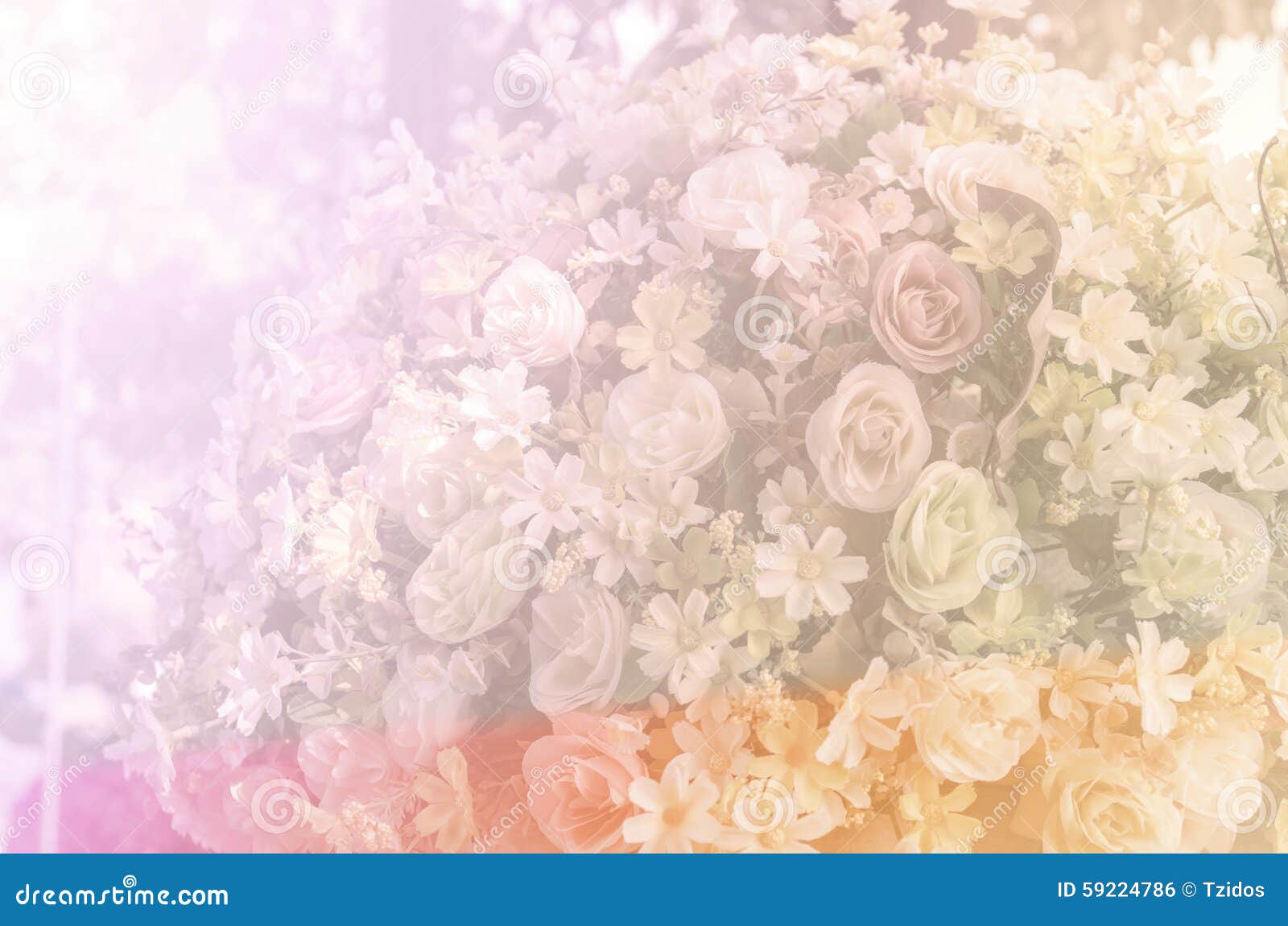 Sweet Color in Soft Style Background Stock Photo - Image of elegant ...