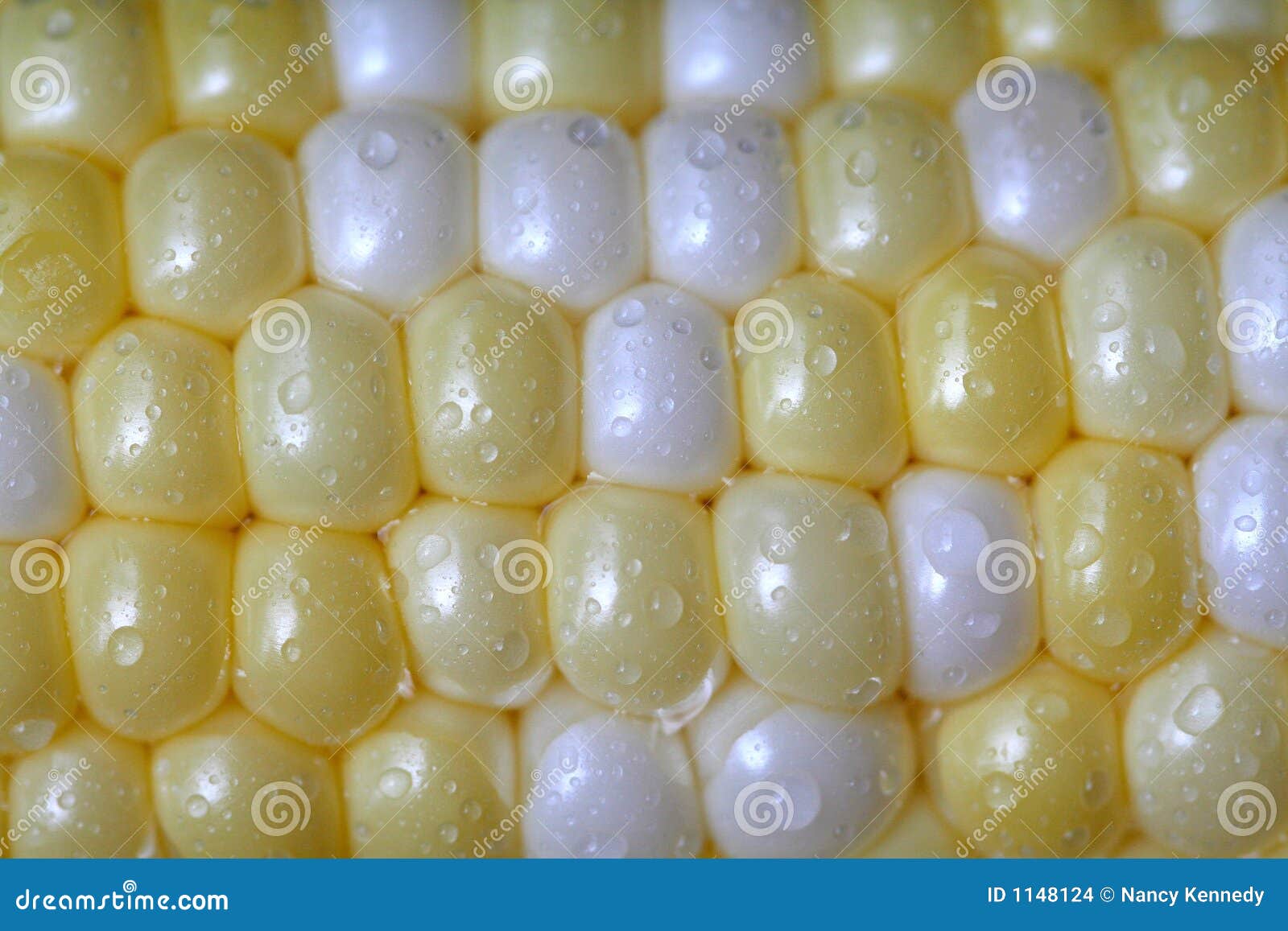 Sweet Corn stock photo. Image of sugar, crisp, yellow - 1148124
