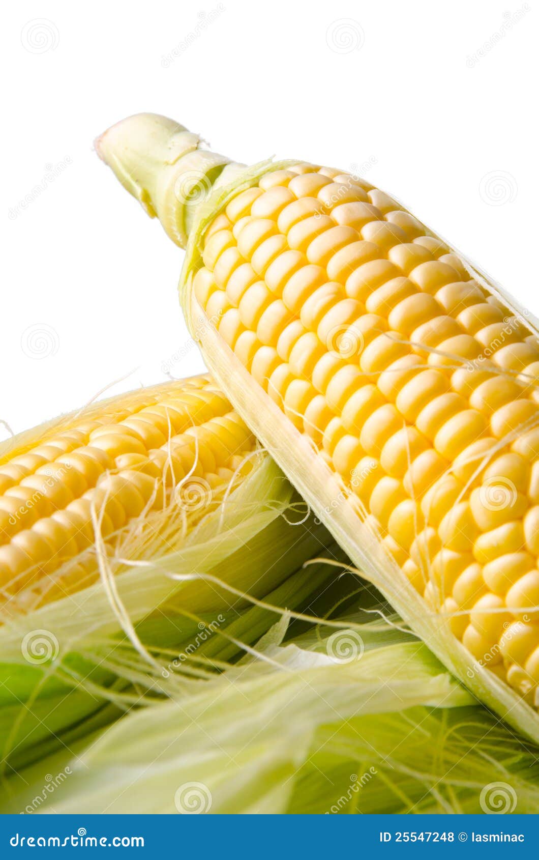 Sweet corn stock photo. Image of food, golden, grain - 25547248