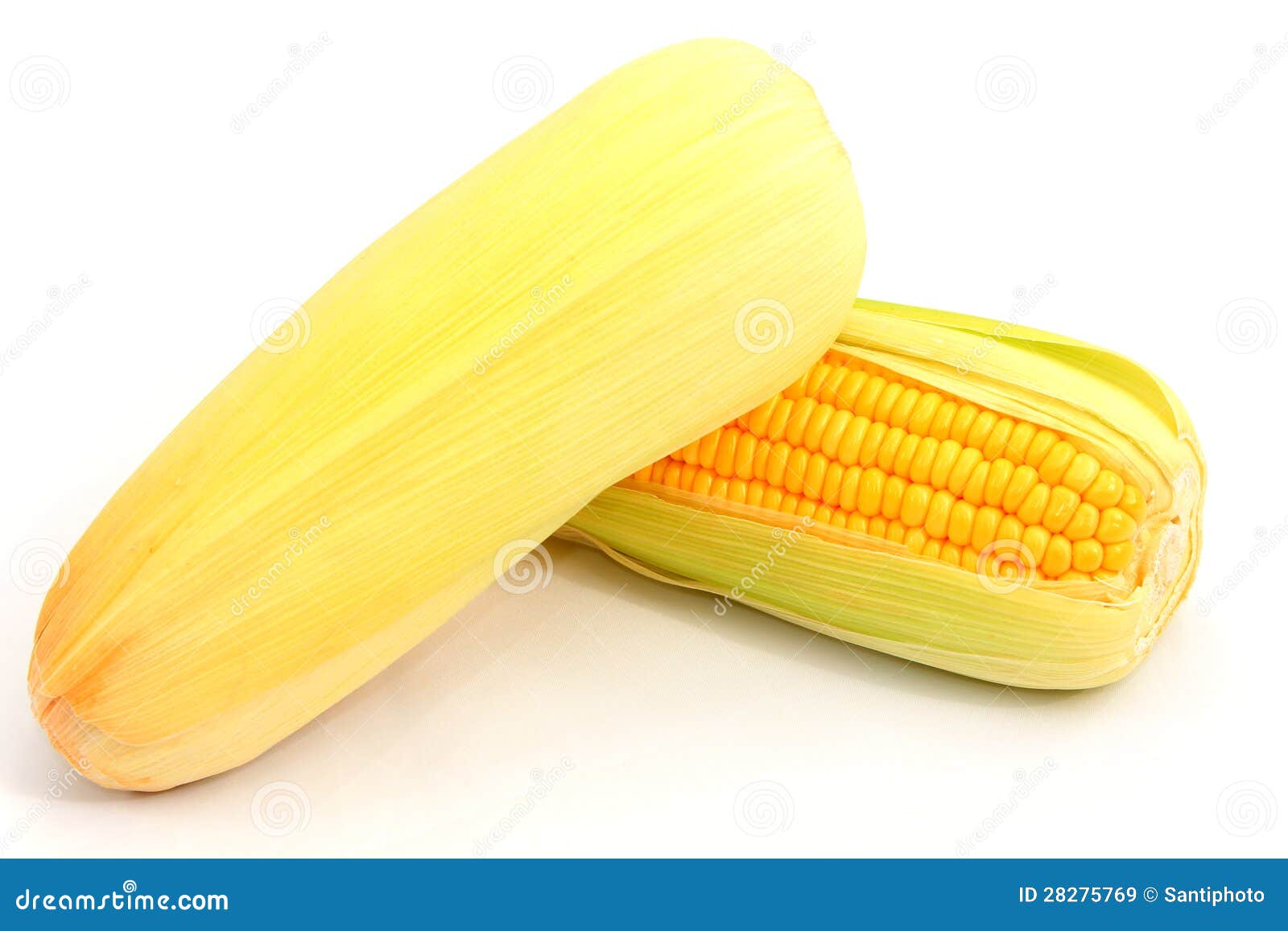 Sweet corn stock image. Image of grain, silk, kernels - 28275769