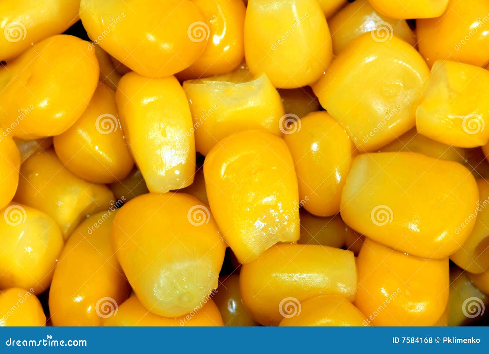 Sweet corn stock photo. Image of closeup, corn, macro - 7584168