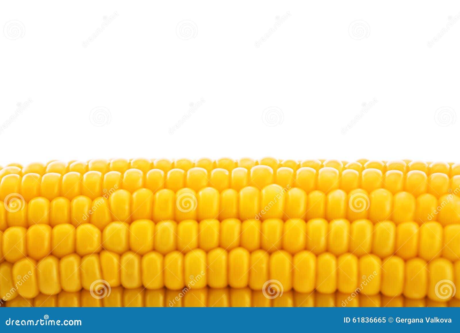 Sweet corn background stock image. Image of kernels, yellow - 61836665