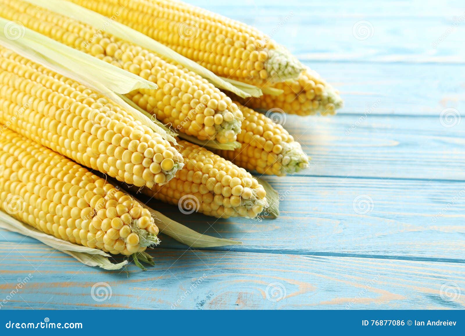Sweet corn stock photo. Image of grain, agriculture, healthy - 76877086
