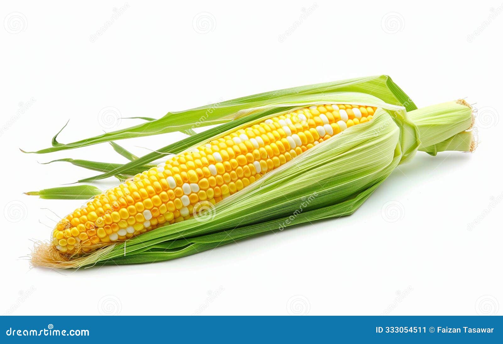 Sweet Corn on a Clean White Canvas -Generative Ai Stock Image - Image ...