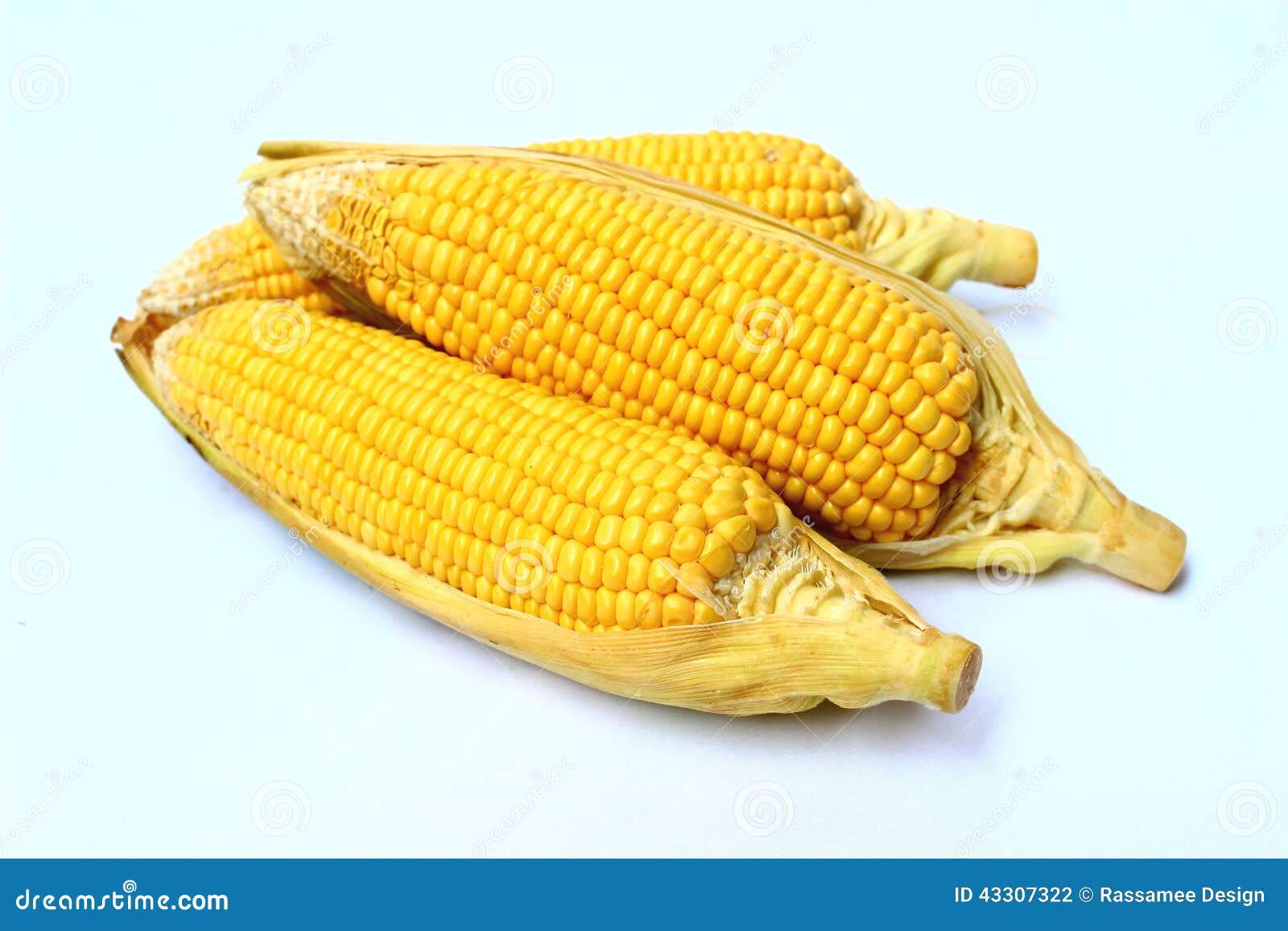 Sweet corn stock photo. Image of sweet, white, close - 43307322