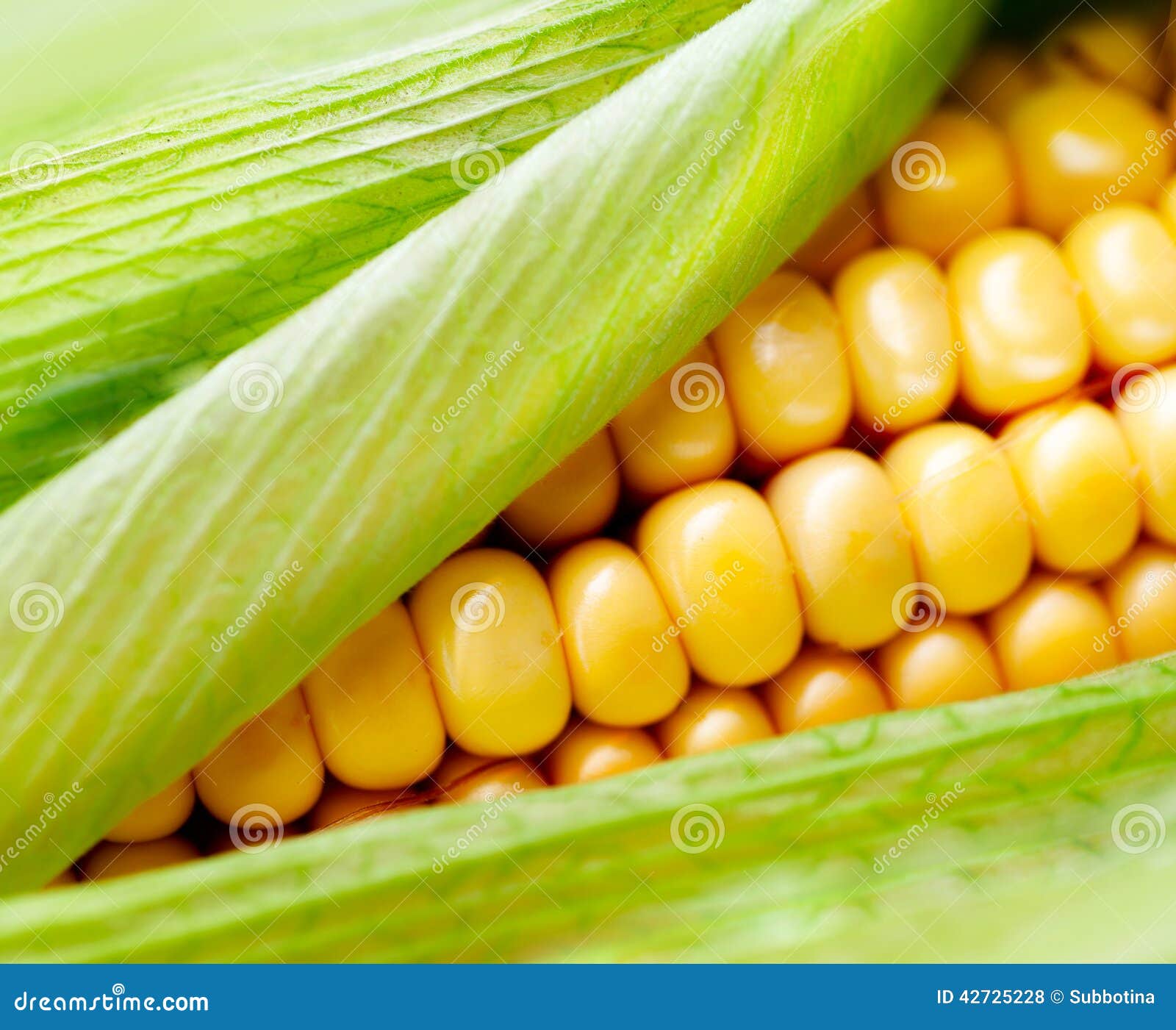 272 Boiled Corn Peel Stock Photos - Free & Royalty-Free Stock Photos ...