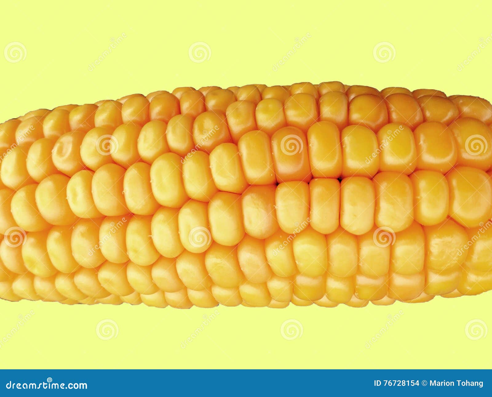 Sweet corn stock photo. Image of ingredient, grain, vegetarian - 76728154