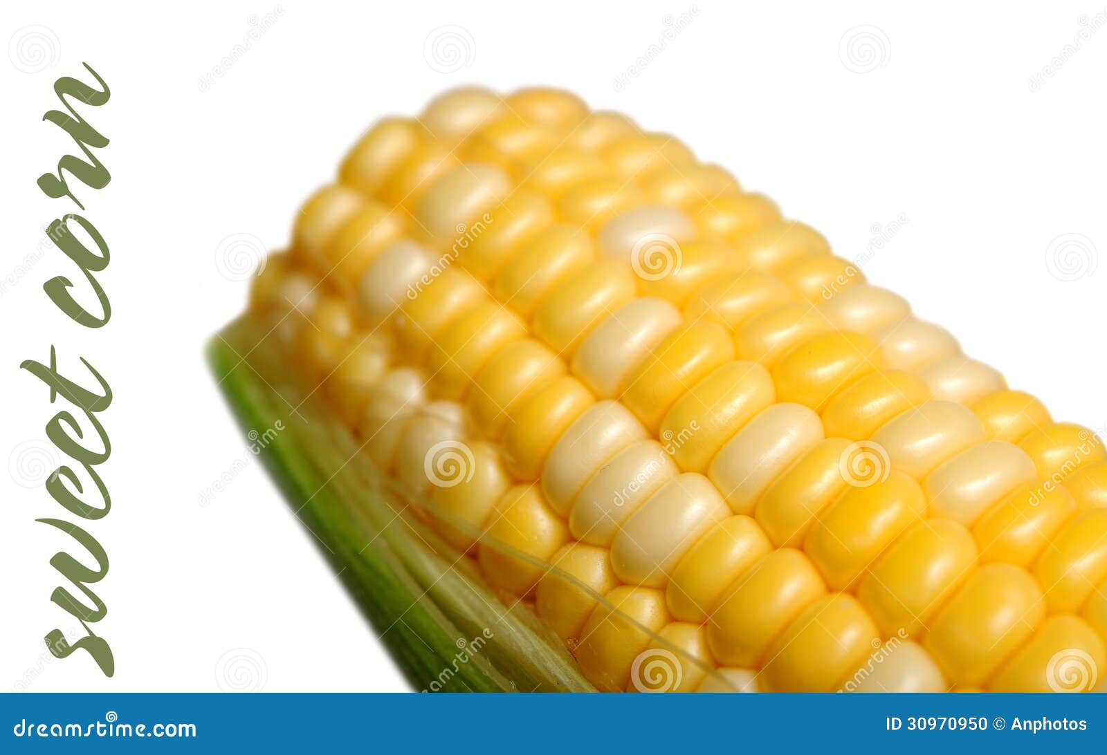 Sweet corn stock photo. Image of organic, corn, husk - 30970950