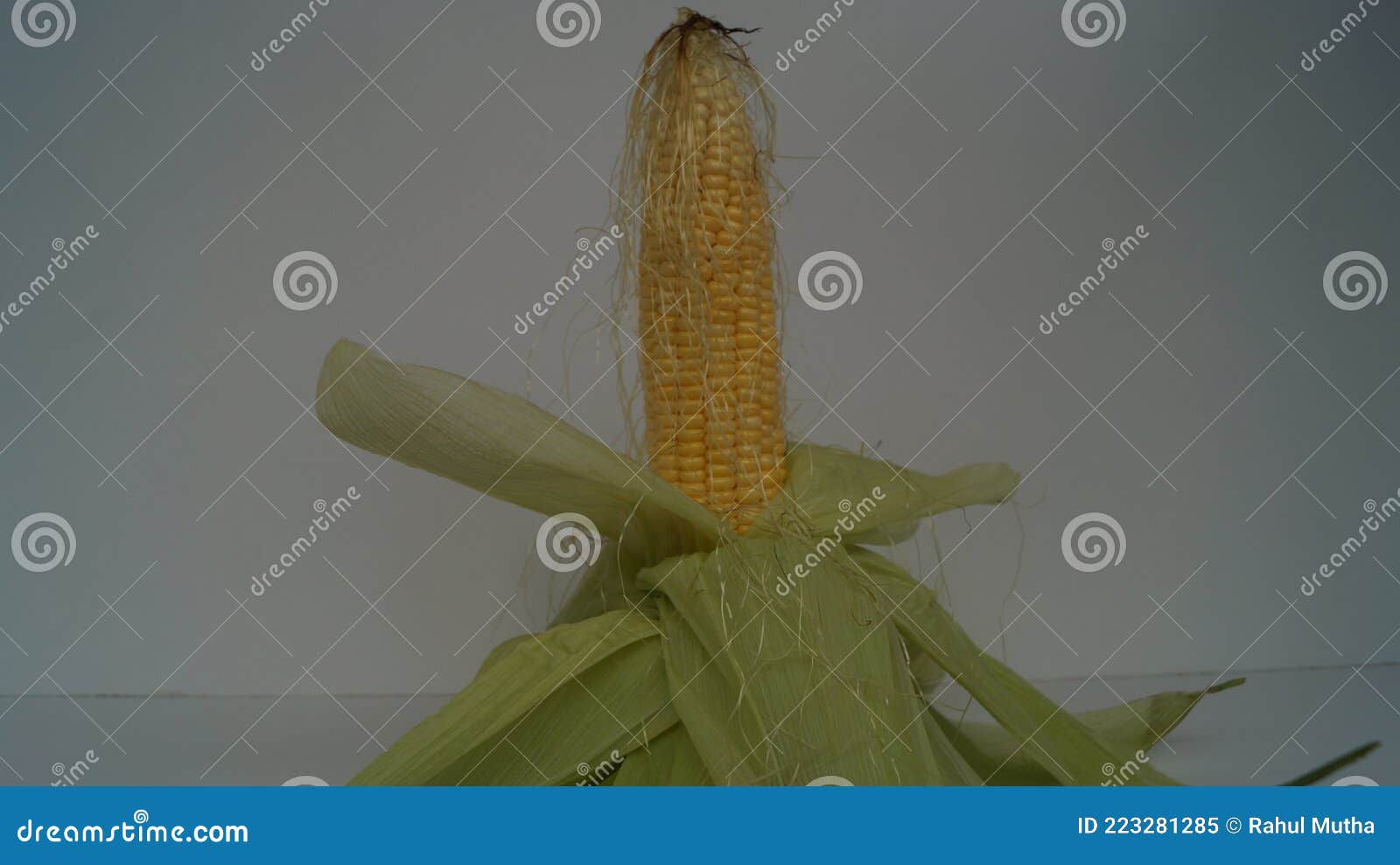 Sweet corn on the cob stock image. Image of juice, drink - 223281285