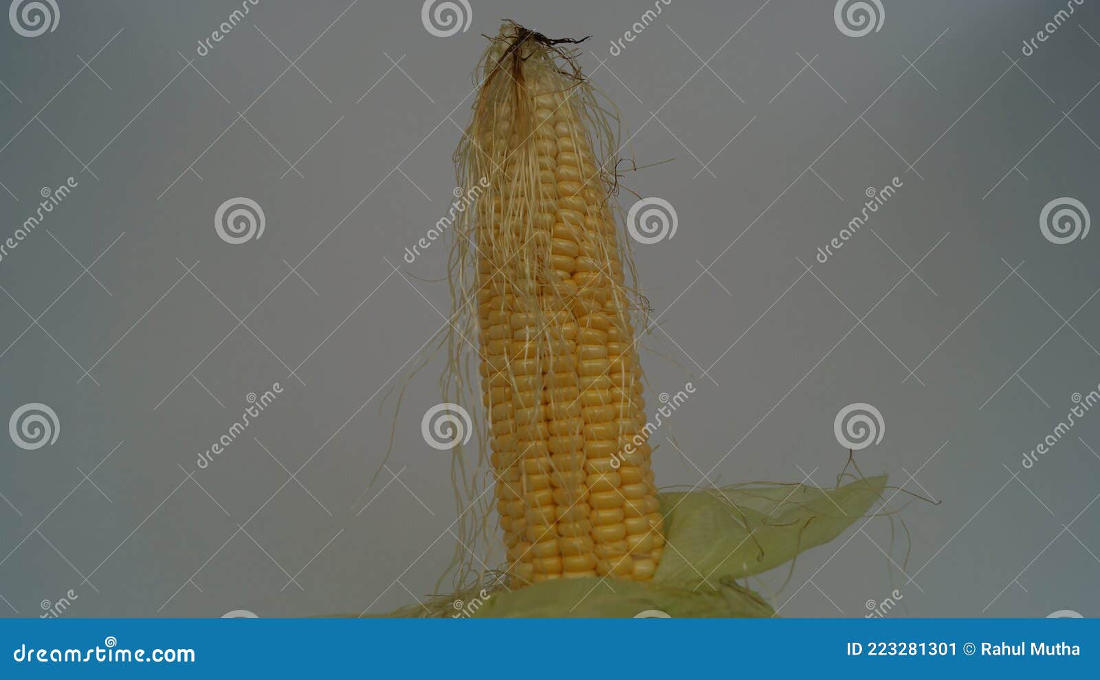 Sweet corn on the cob stock image. Image of juice, frozen - 223281301