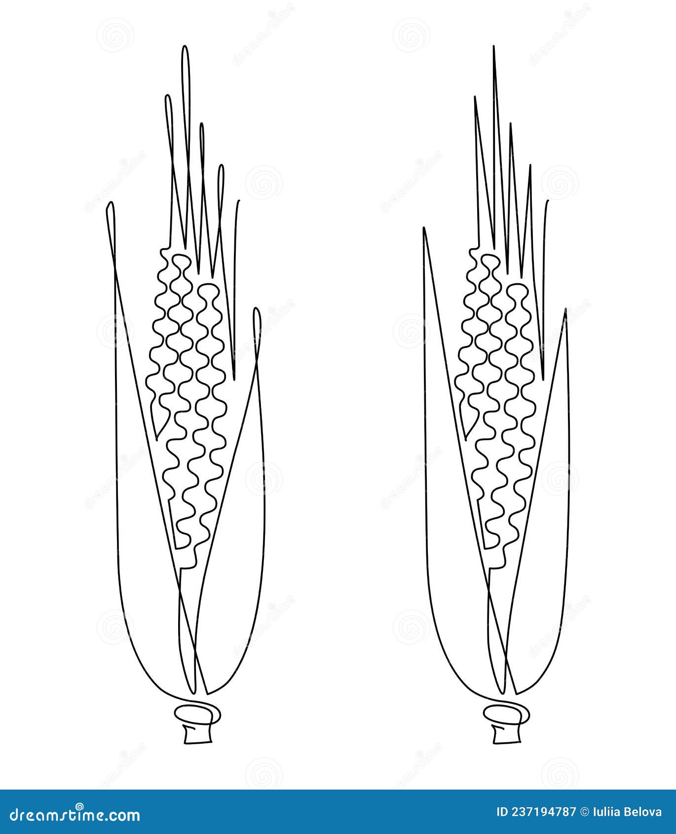 Sweet Corn. Continuous Line Drawing Illustration Stock Illustration ...