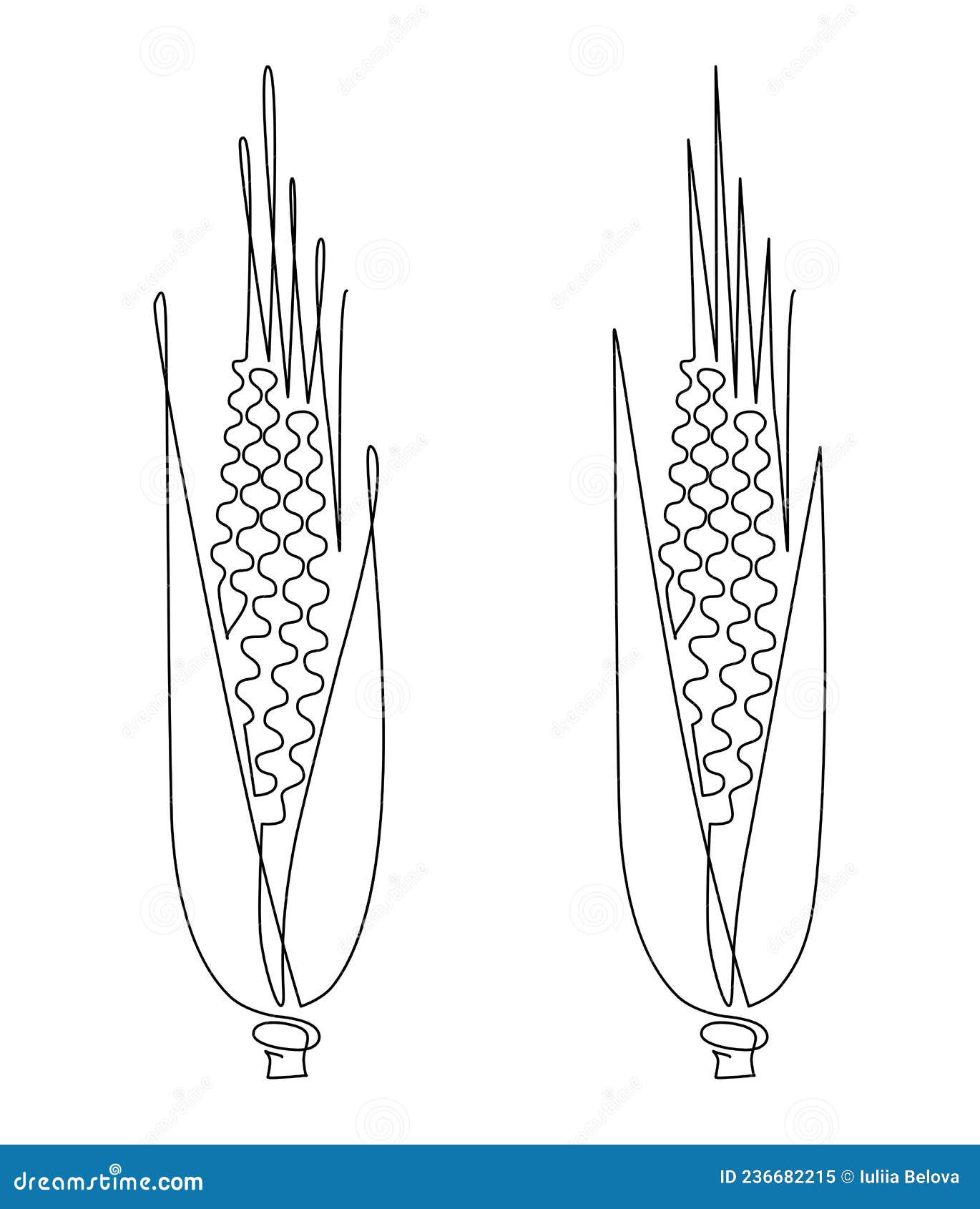Sweet Corn. Continuous Line Drawing Stock Vector - Illustration of ...