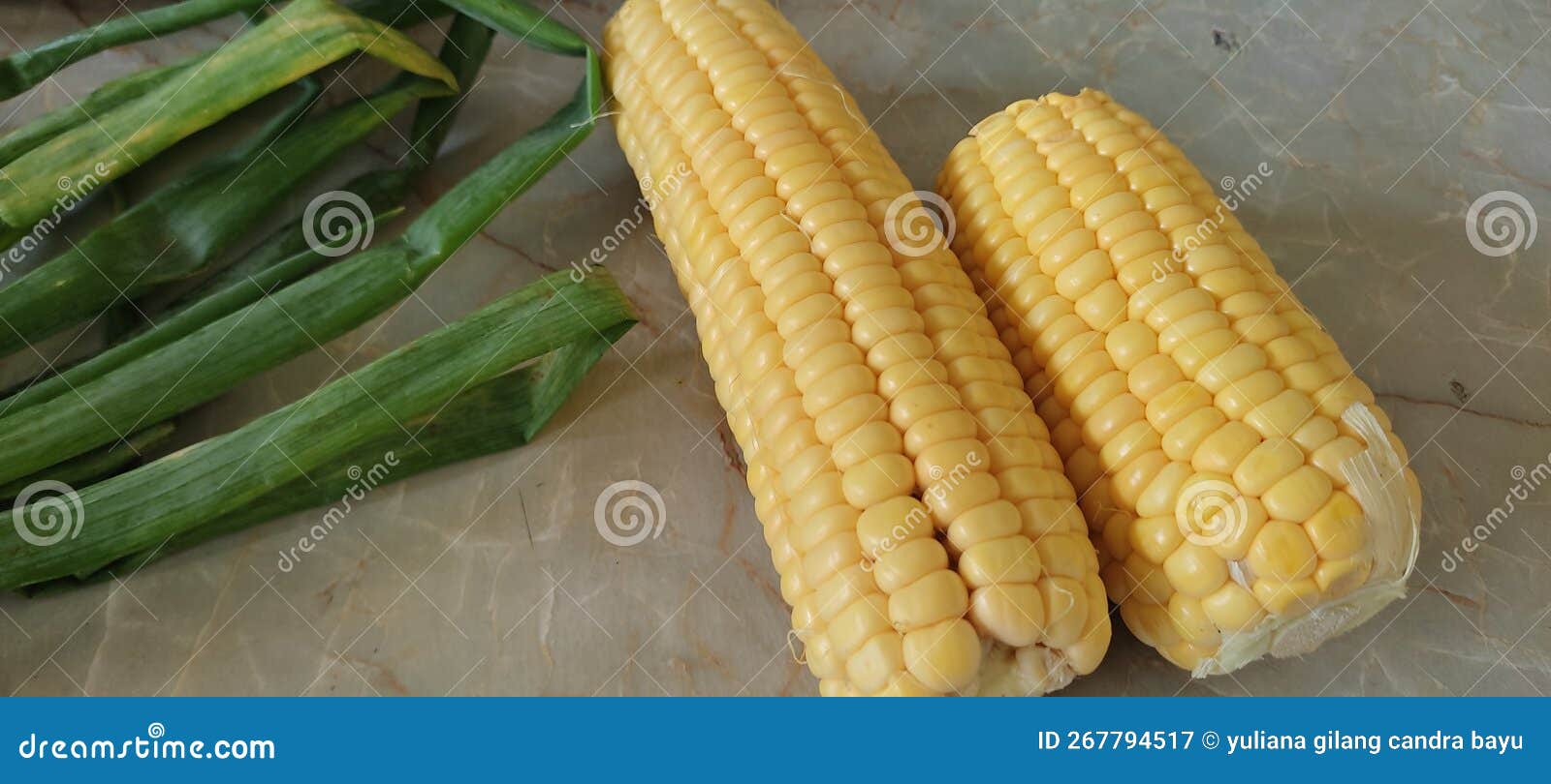 Sweet Corn Delicious Vegetable from Indonesia Stock Image - Image of ...