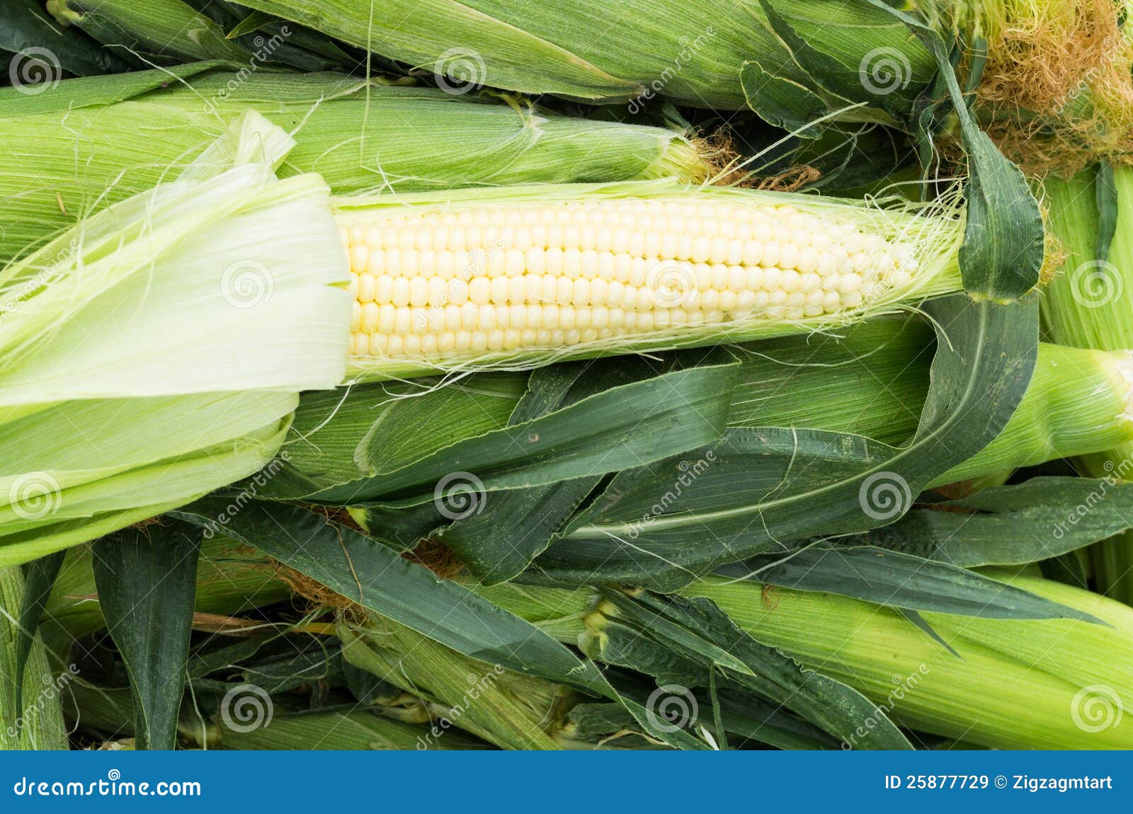 Sweet corn on display stock image. Image of natural, harvest - 25877729