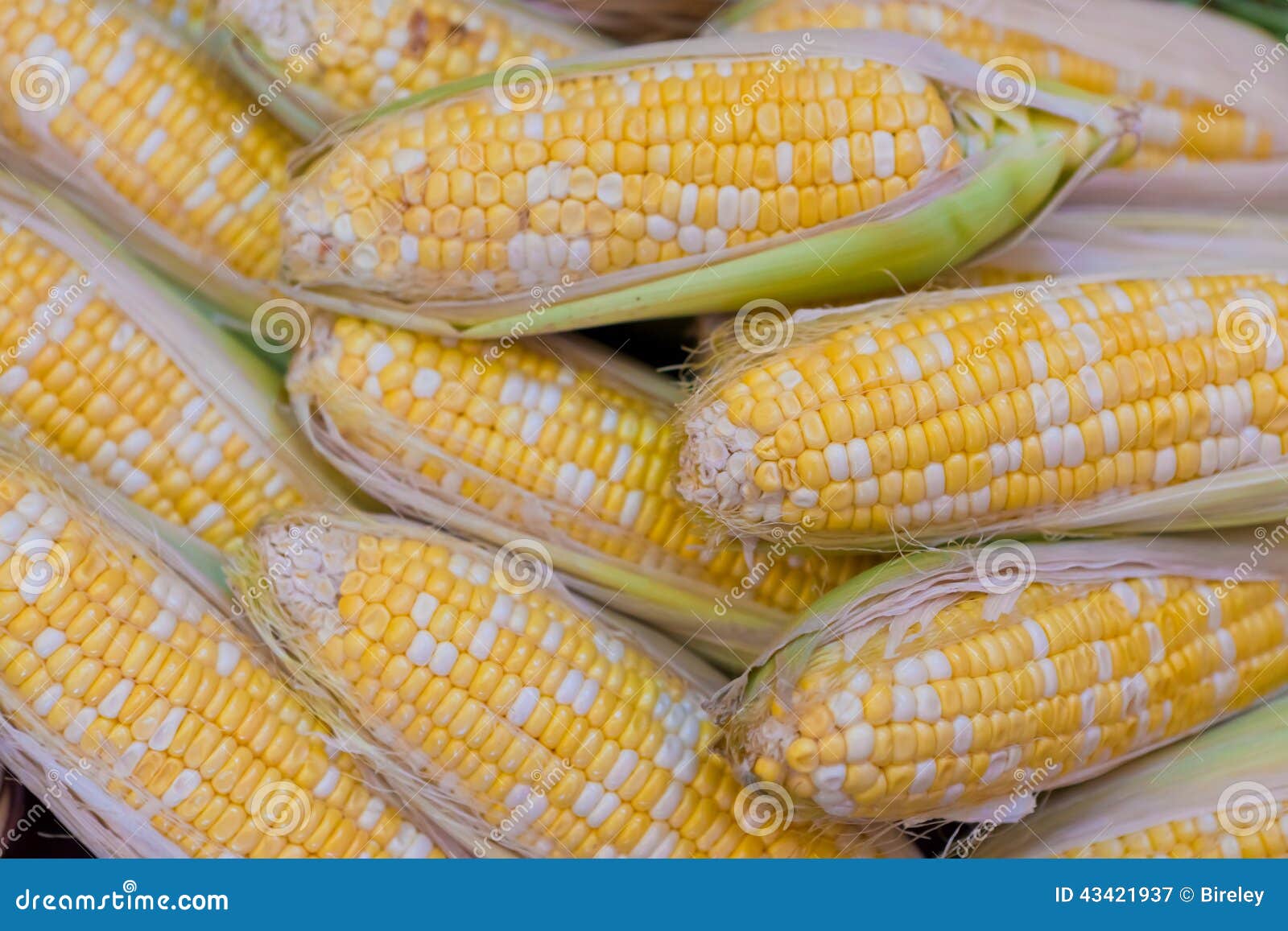 Sweet corn stock image. Image of food, background, fruit - 43421937