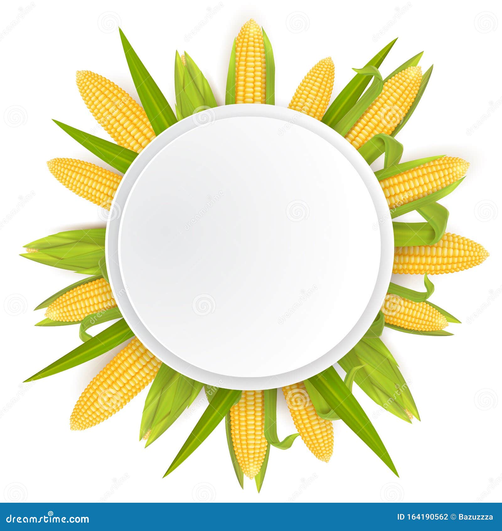 Sweet Corn Frame Template, Vector Realistic Illustration Stock Vector ...