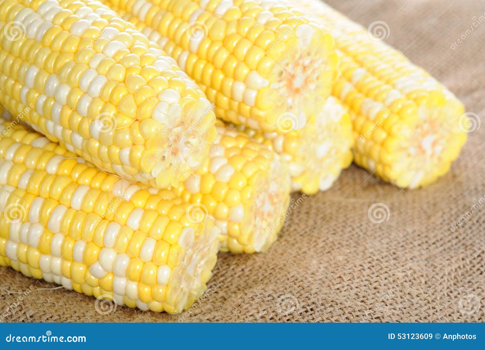 Sweet corn stock image. Image of harvest, maize, sweet - 53123609
