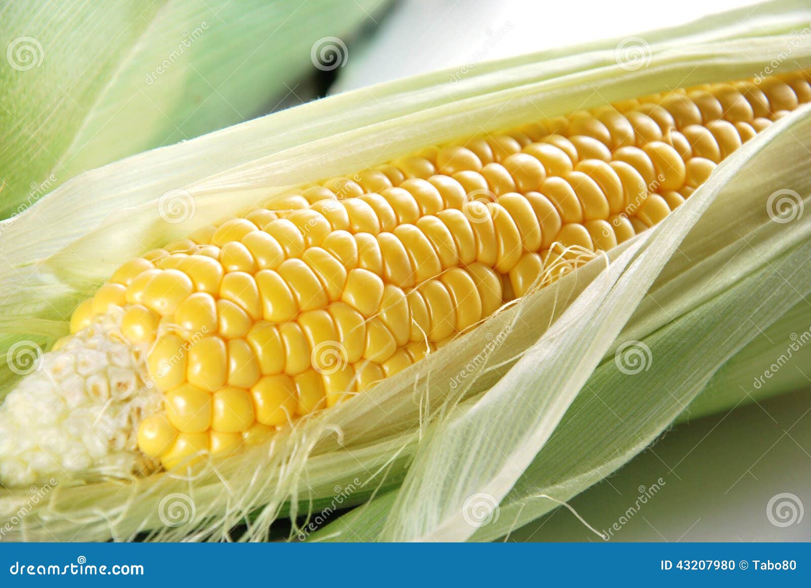 Sweet corn stock photo. Image of vegetable, fresh, corn - 43207980
