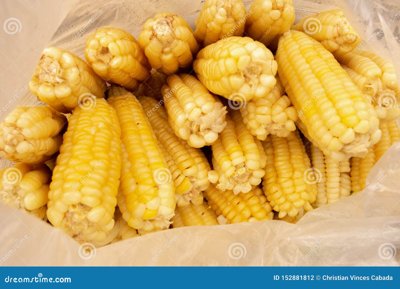 SWEET CORN GROUP stock photo. Image of grilling, quesadilla - 152881812