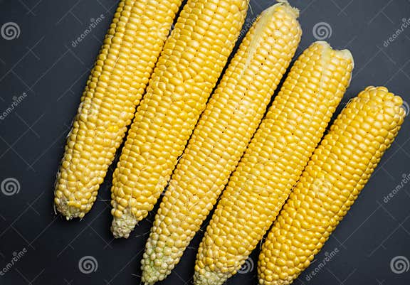 Sweet corn heads stock image. Image of grain, golden - 328280759