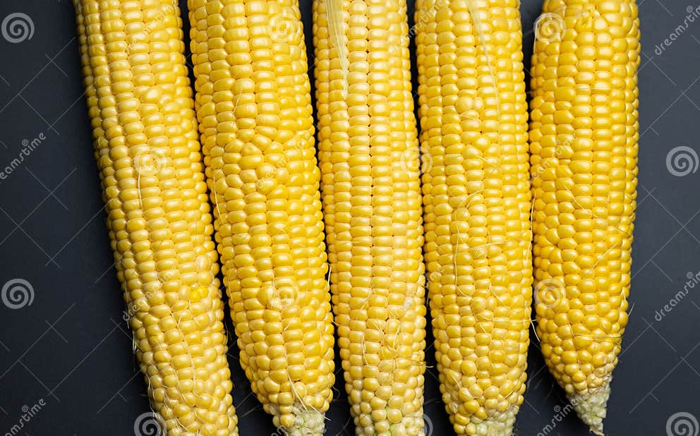 Sweet corn heads stock photo. Image of black, leaf, grain - 328280764
