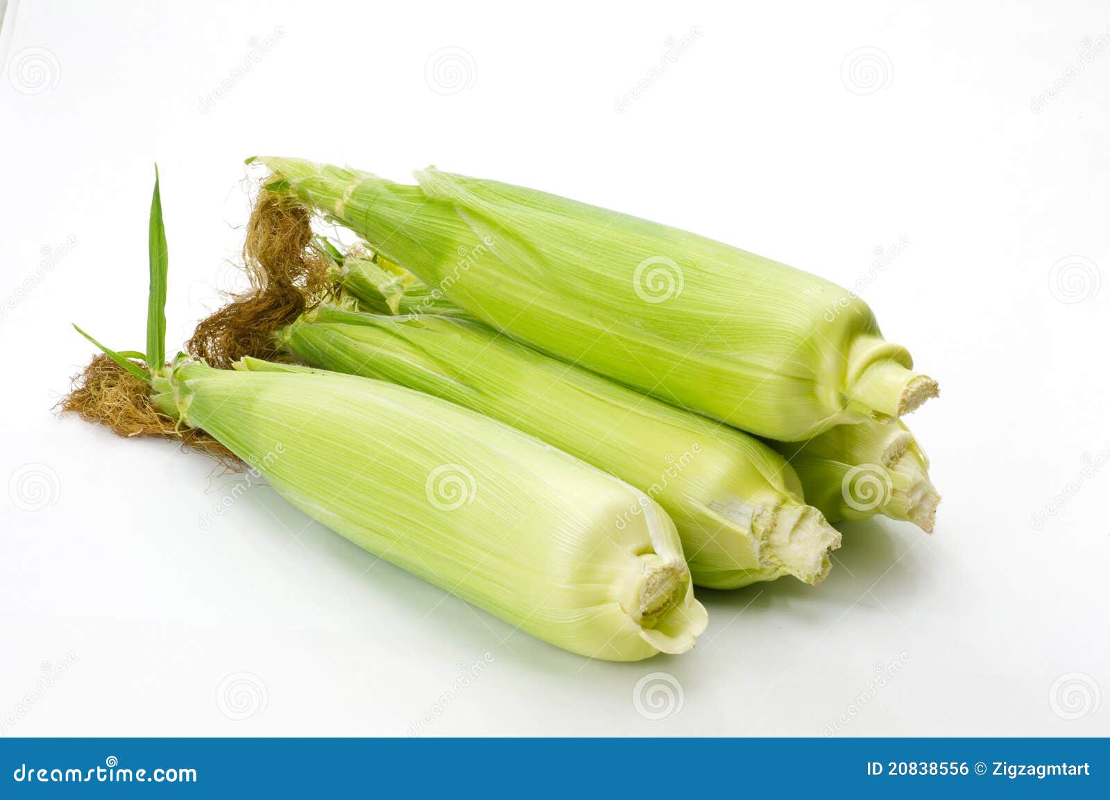 Sweet Corn in the Husk on White Stock Photo - Image of nutrition, fresh ...