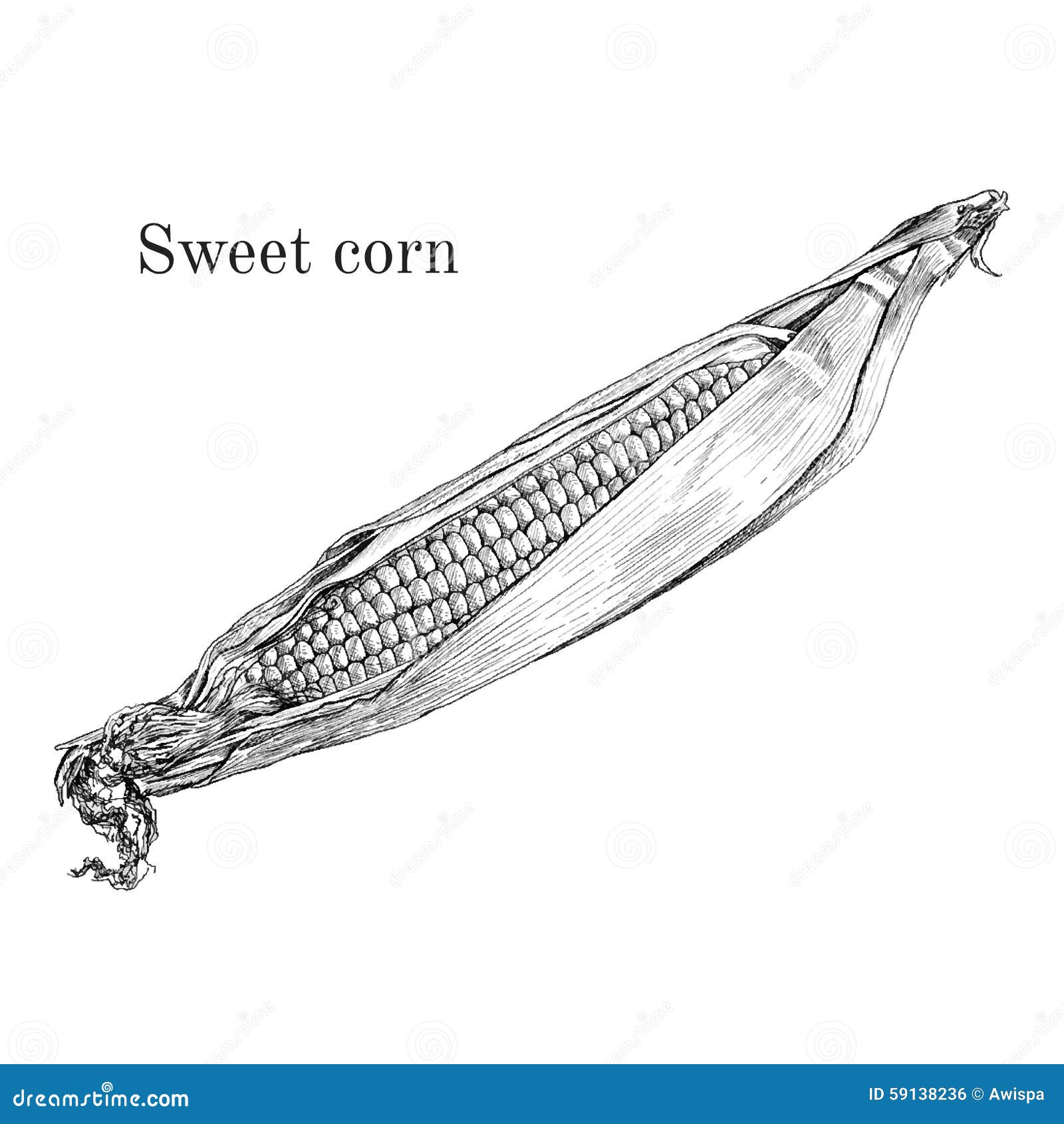 Sweet Corn Vector Poster, Label, Sticker Template | CartoonDealer.com ...