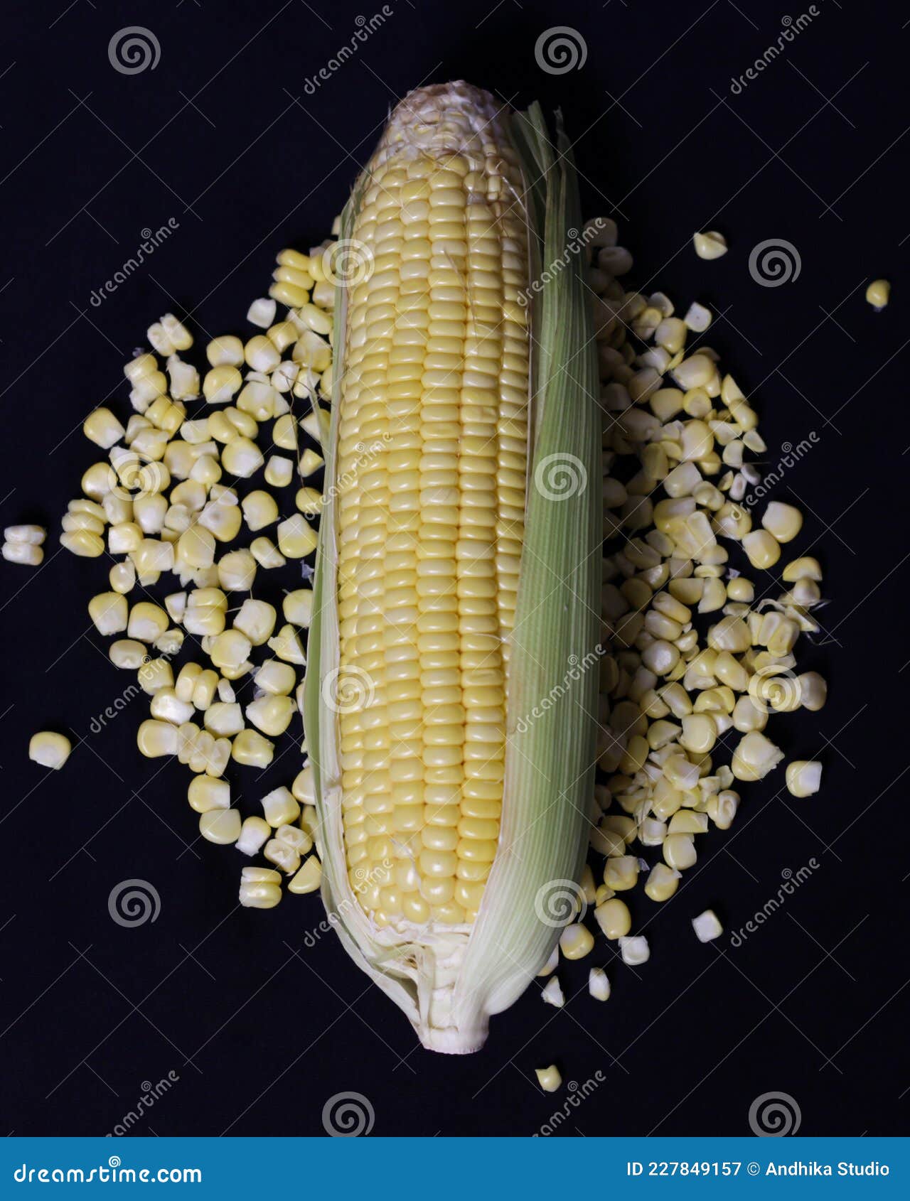 Sweet Corn Isolated on Dark Background. Stock Image - Image of isolated ...
