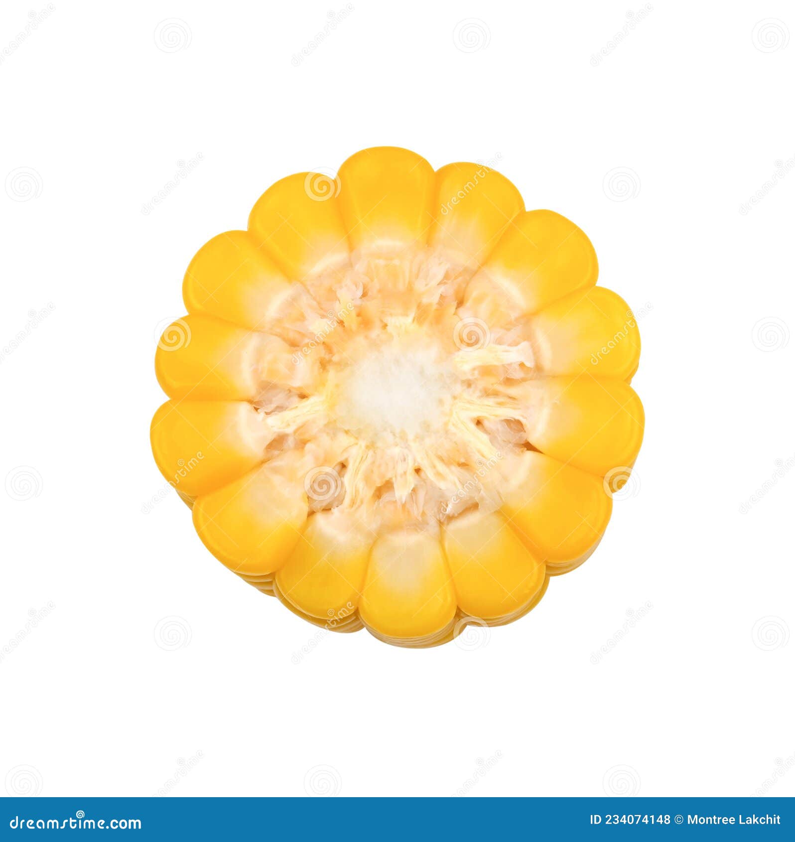 Sweet Corn Isolated on White Background Stock Photo - Image of organic ...