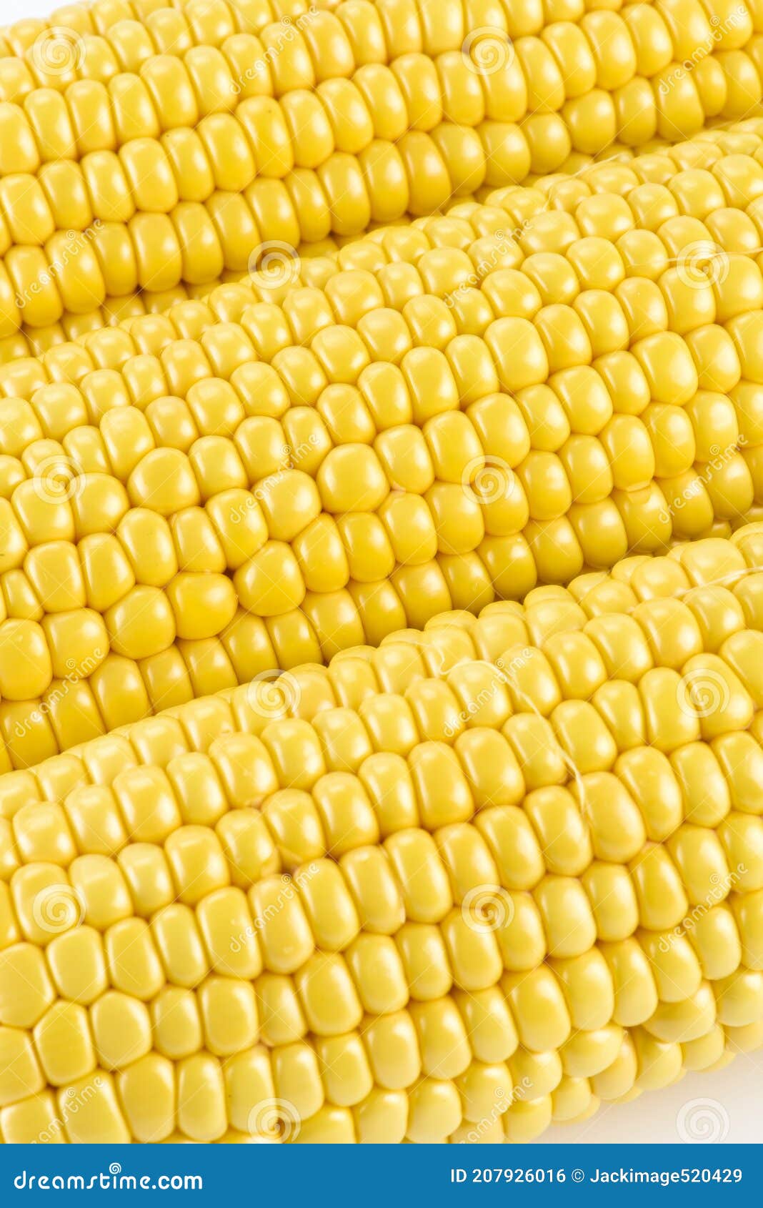 Sweet Corn Isolated on White Background Stock Photo - Image of natural ...