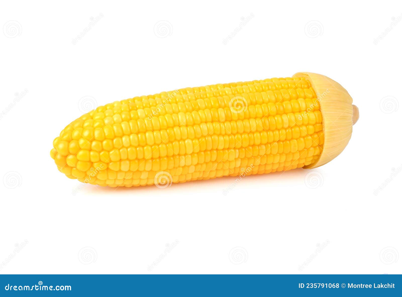 Sweet Corn Isolated on a White Background Stock Photo - Image of seeds ...