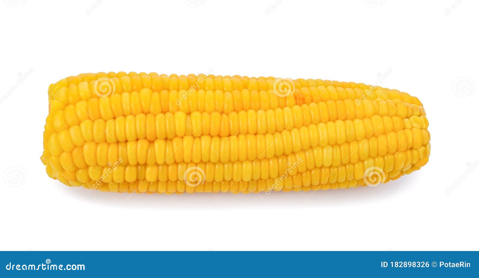 Sweet Corn Isolated on White Background. Stock Photo - Image of grain ...