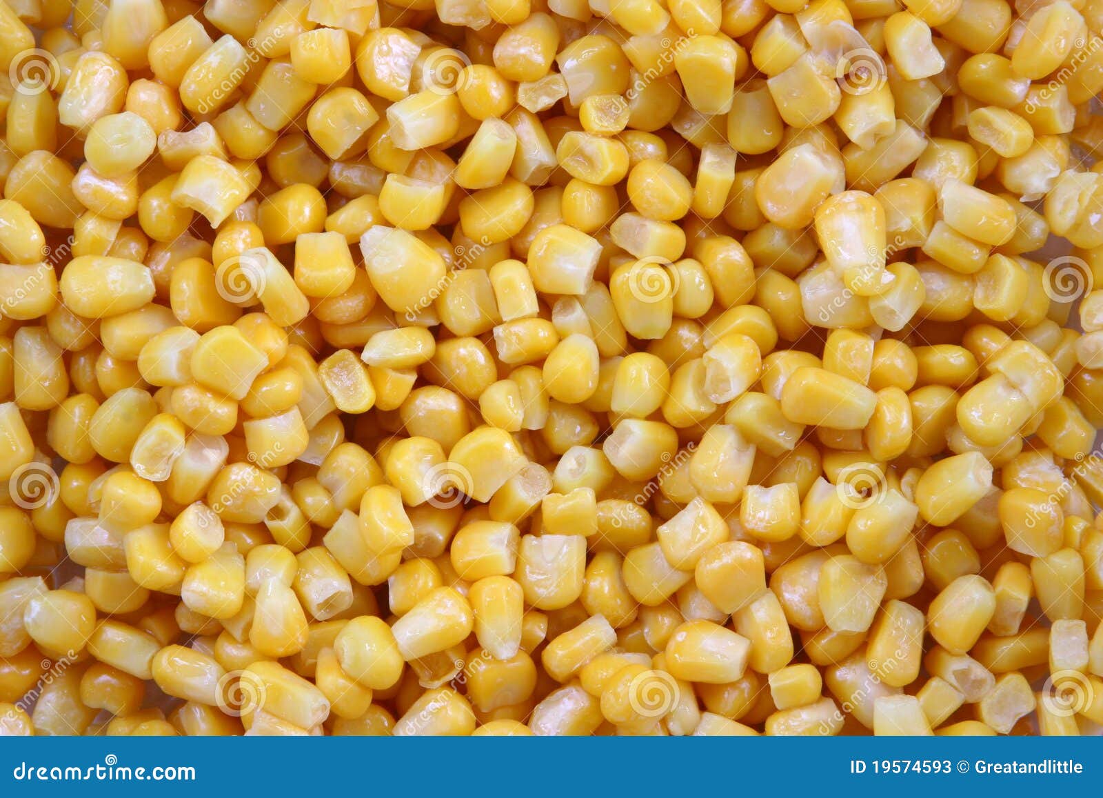 Sweet corn kernels stock image. Image of texture, organic - 19574593