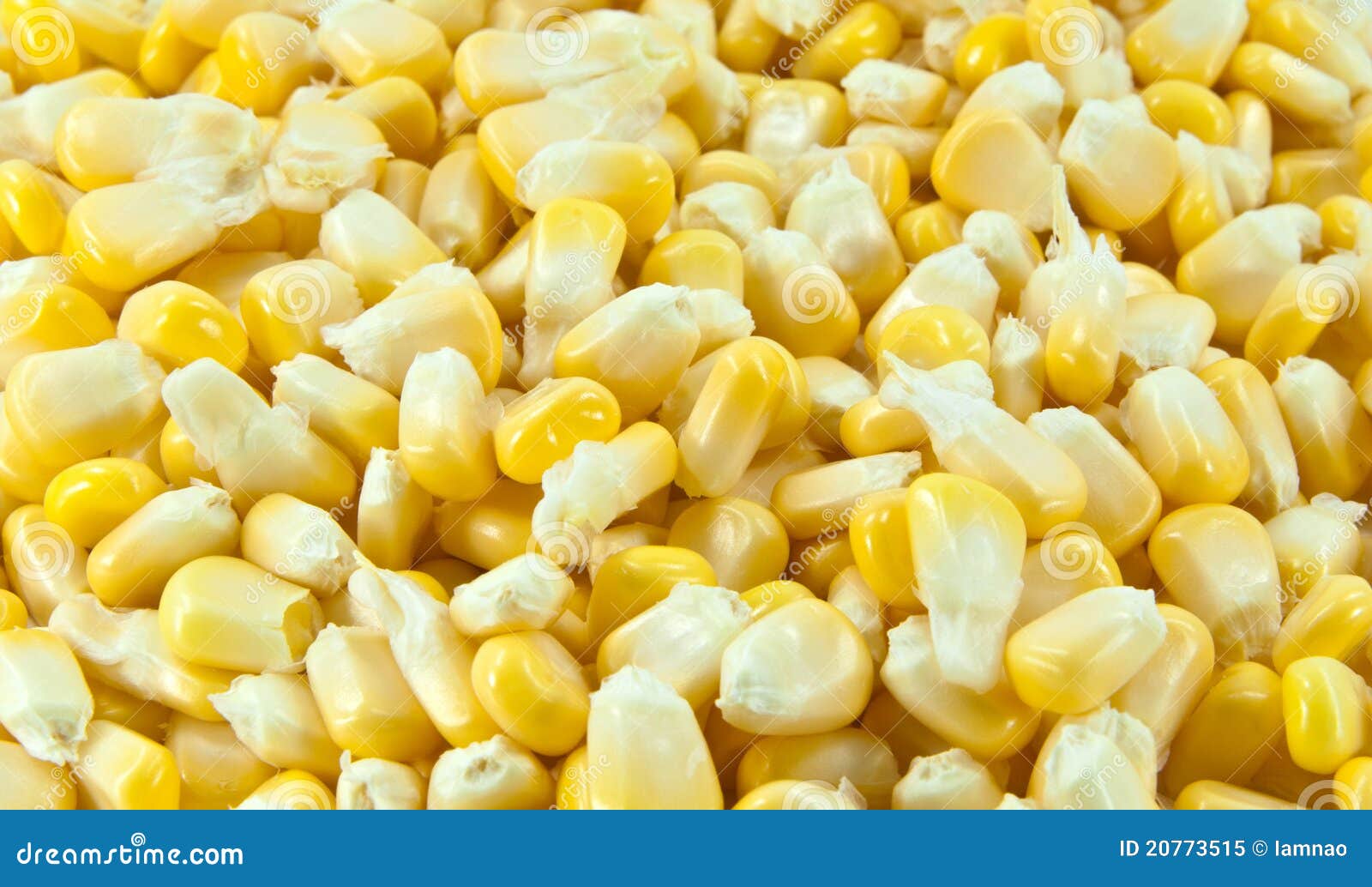 Sweet corn kernels stock image. Image of healthy, cookery - 20773515