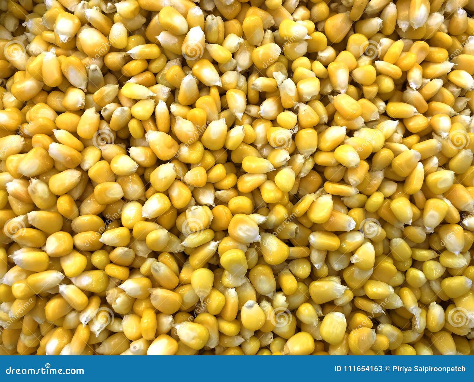 Sweet Corn Kernels for Background. Stock Image - Image of organic ...