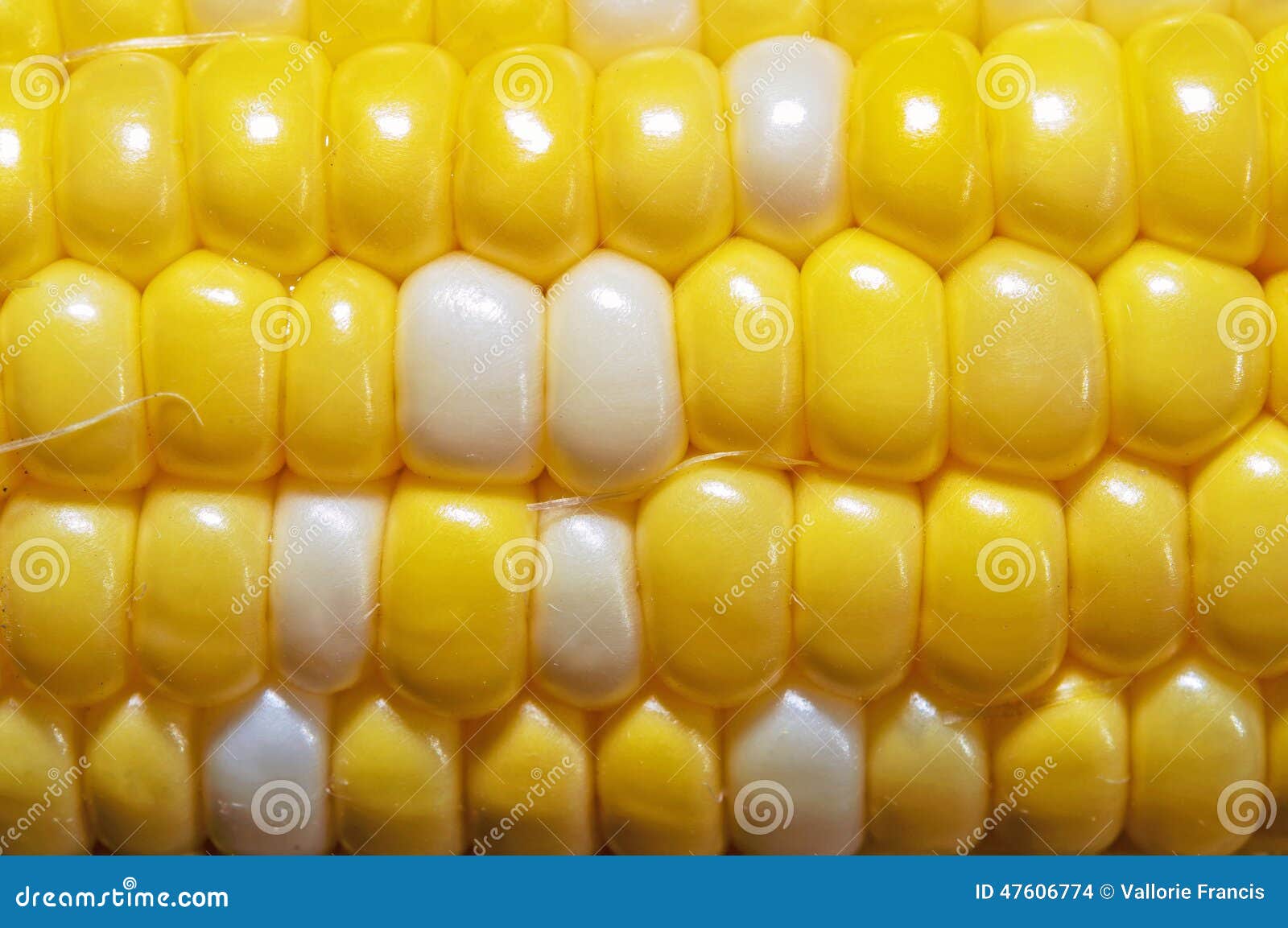 Sweet corn macro stock photo. Image of vegetables, background - 47606774