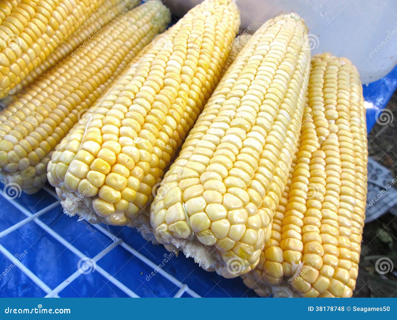 Sweet corn in the market stock photo. Image of leaf, grain - 38178748