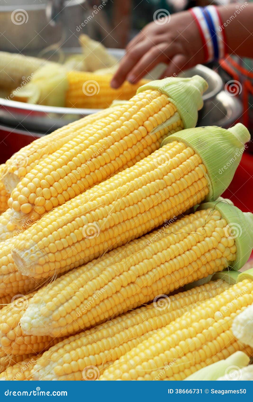 Sweet corn in the market stock image. Image of sweetcorn - 38666731