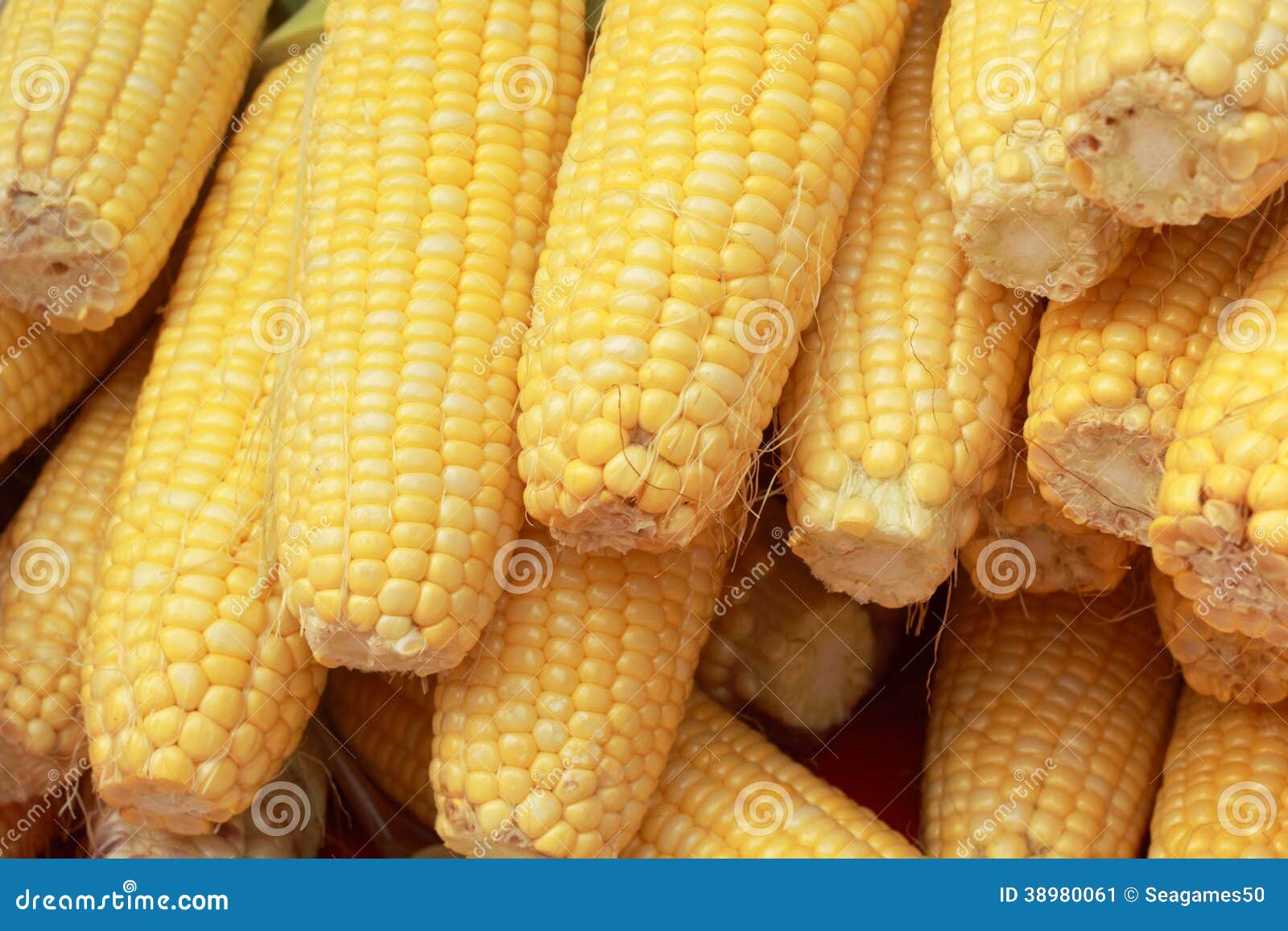 Sweet corn in the market stock image. Image of yellow - 38980061
